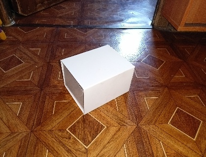 boxes Instance Segmentation Dataset and Pre-Trained Model by sinau pt 2