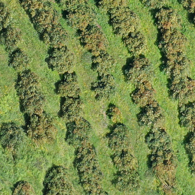 SB_0055_0188_HD_0 Object Detection Dataset by SIER