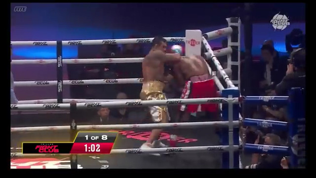 How to Use the tcc project - fight pose Keypoint Detection API