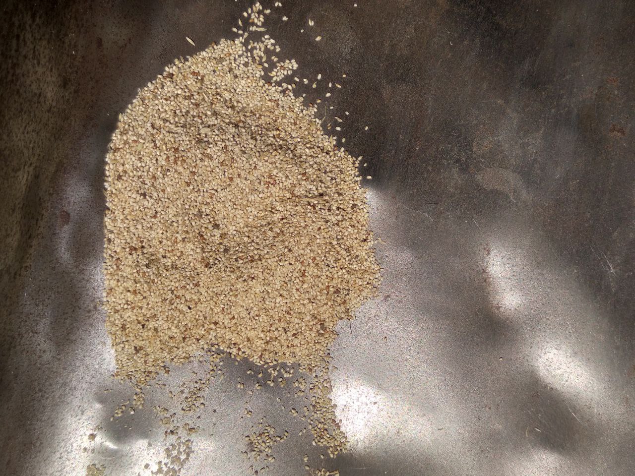 Gonji_Td Instance Segmentation Dataset by TeffBest