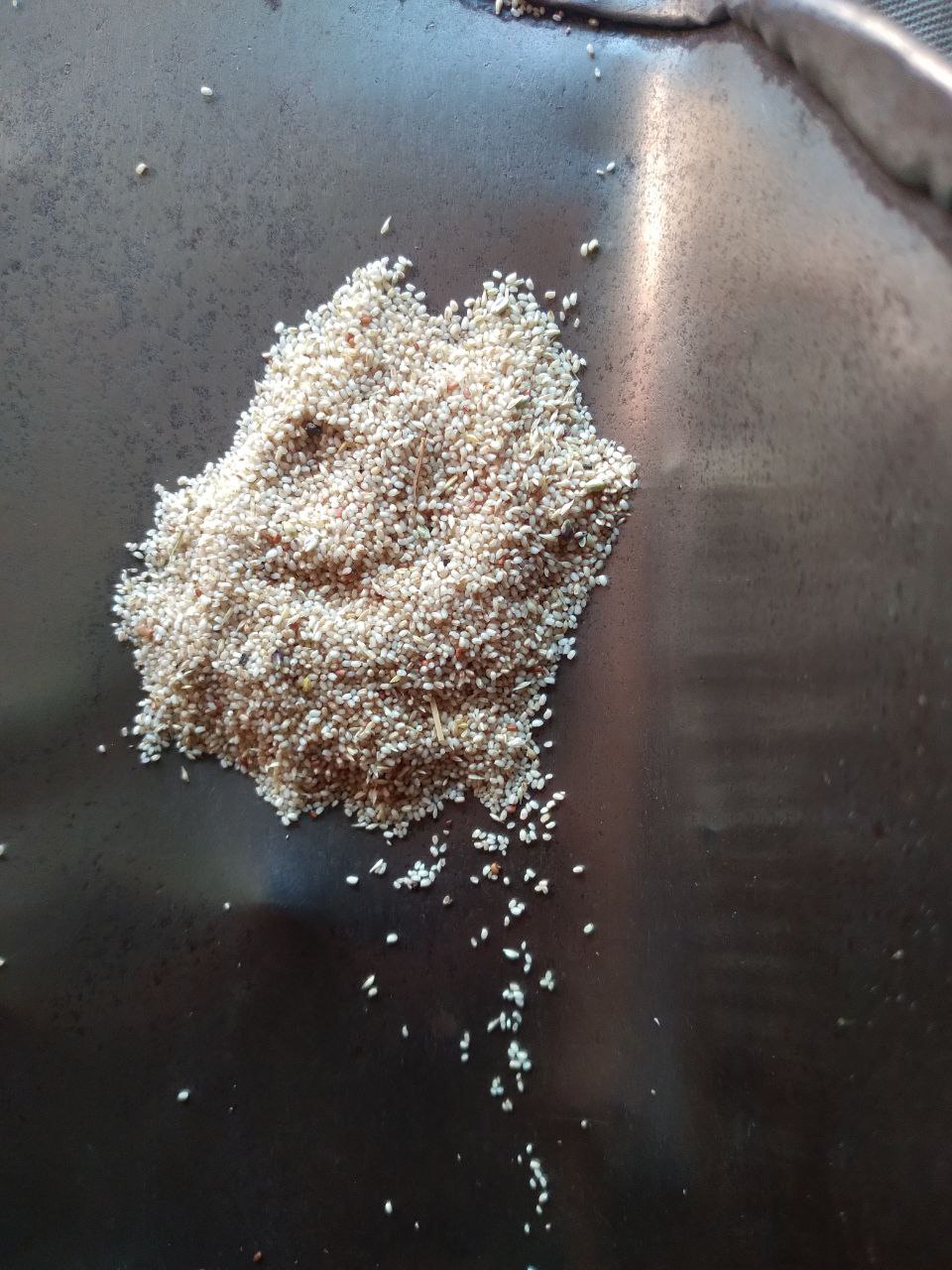 Bichena_Td Instance Segmentation Dataset by TeffBest