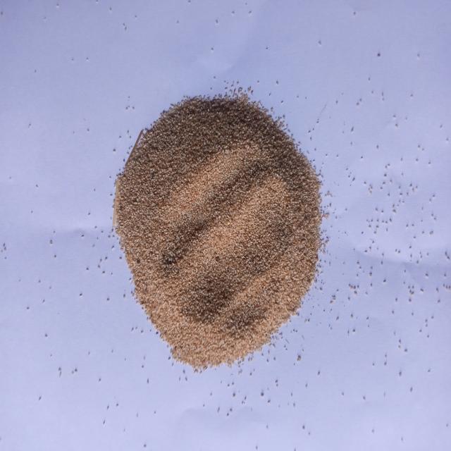 Final_Bal_teff Instance Segmentation Dataset and Pre-Trained Model by TeffBest