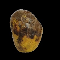 Mango Object Detection Dataset by Bin