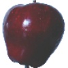 apple (apple-stacx) - Roboflow Universe