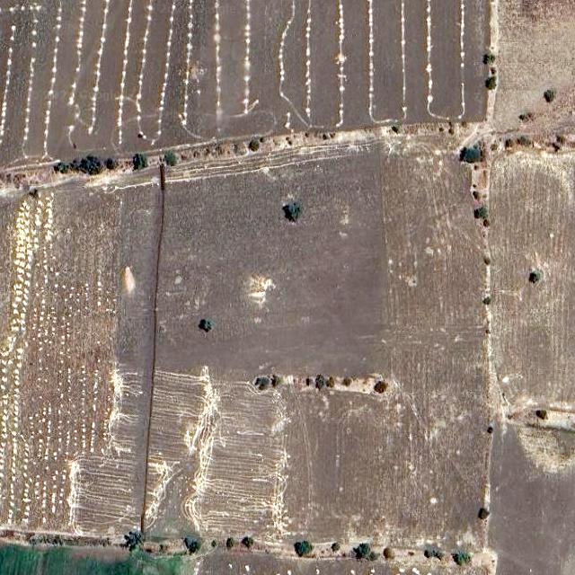 earthwave Instance Segmentation Model by devforsure