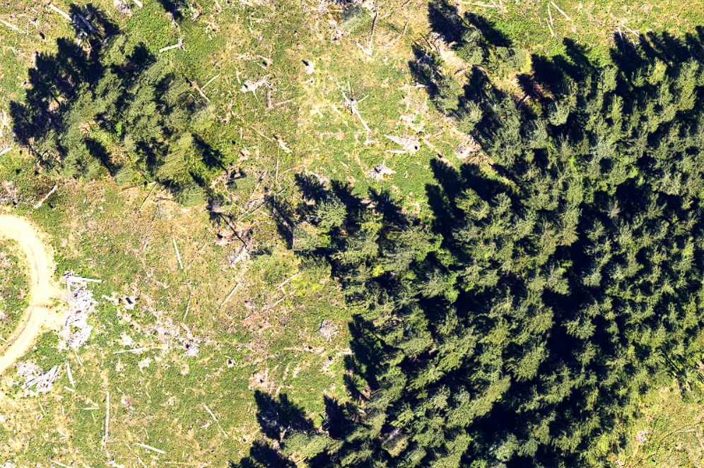 Segmentation Instance Segmentation Dataset by HACHIMI