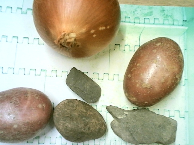 Foodman - Onion Object Detection Dataset and Pre-Trained Model by Foodman