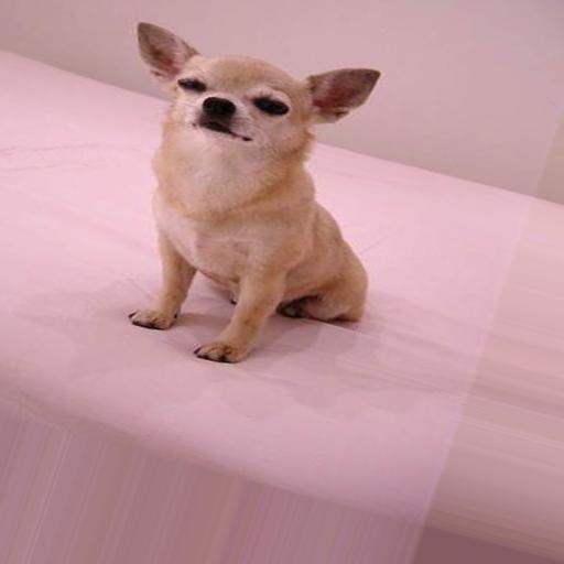 How to Use the Dog Breed Identifier Instance Segmentation API