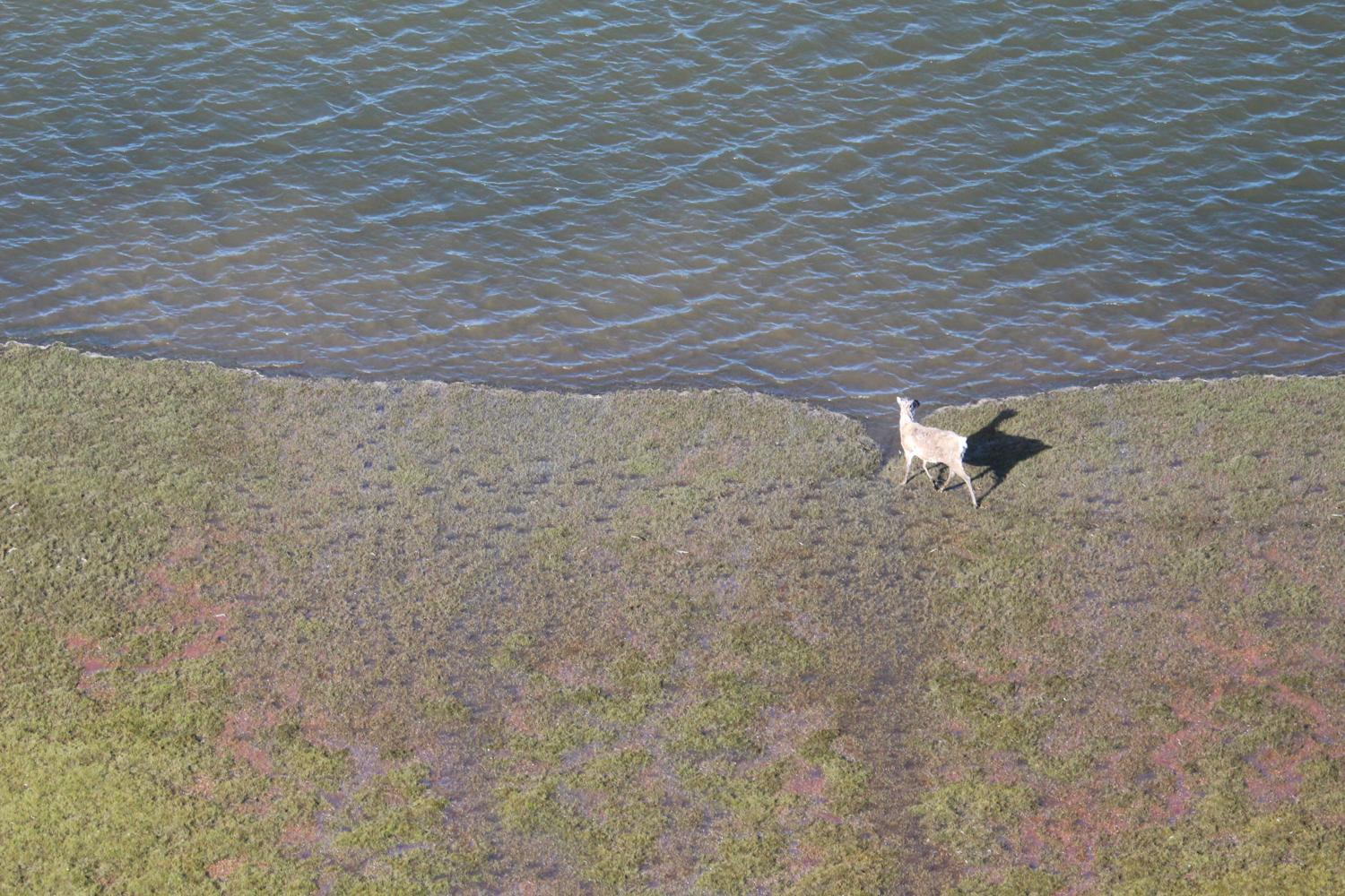 rf_ar Object Detection Dataset by German Karnup