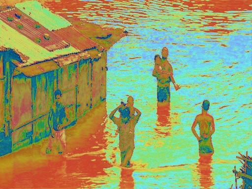 Survivors 1 Object Detection Dataset By Vinku