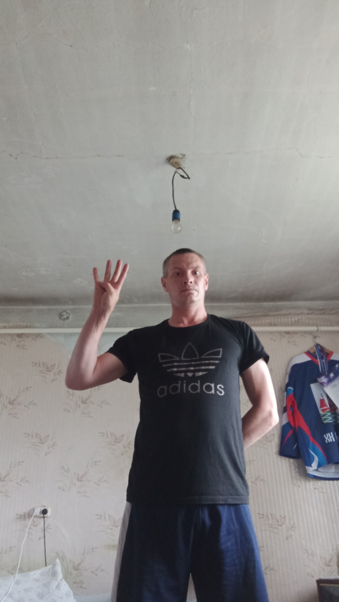 Hagrid Object Detection Model by Vault