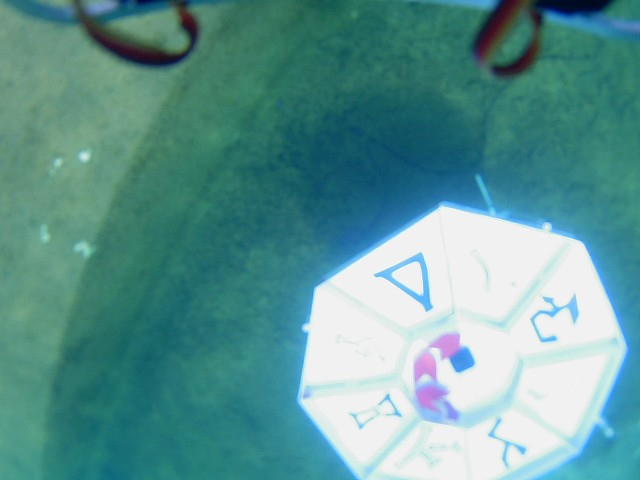 Octagon Detection Object Detection Dataset by Robosub Transdec Images