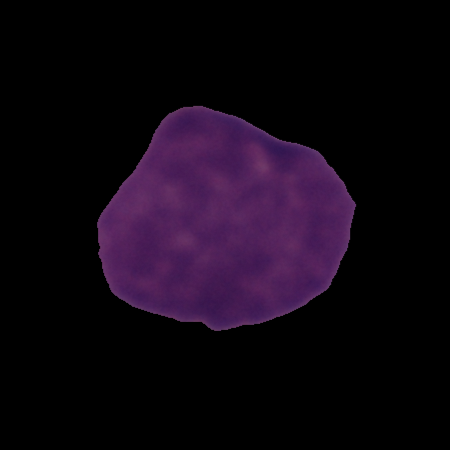 Leukemia detection Object Detection Model by BRACU