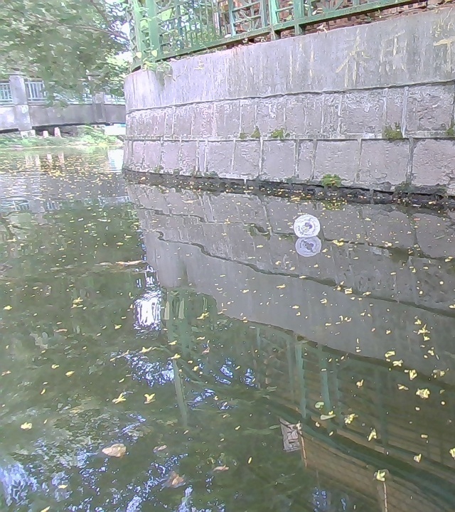 waste detection Object Detection Dataset and Pre-Trained Model by project-kgero