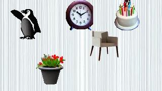 rec Object Detection Dataset and Pre-Trained Model by study