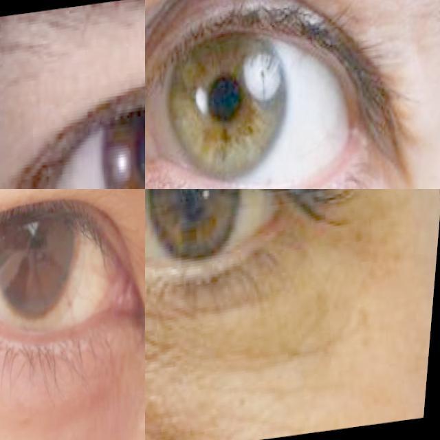 eays Object Detection Dataset by eays