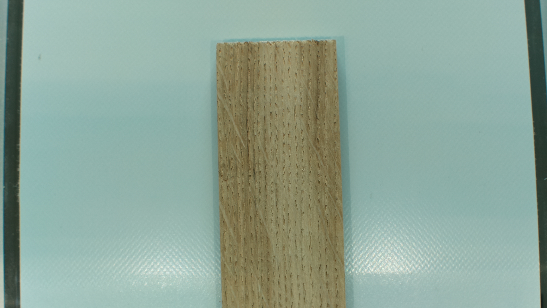 Wood type classification Classification Model by Wood type detection