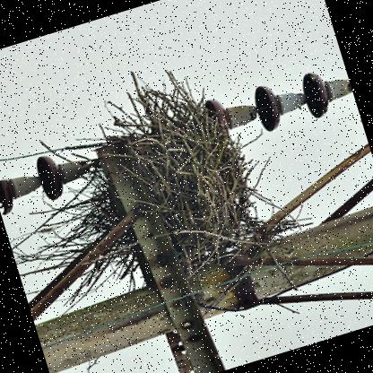 nest Object Detection Dataset by 이태윤