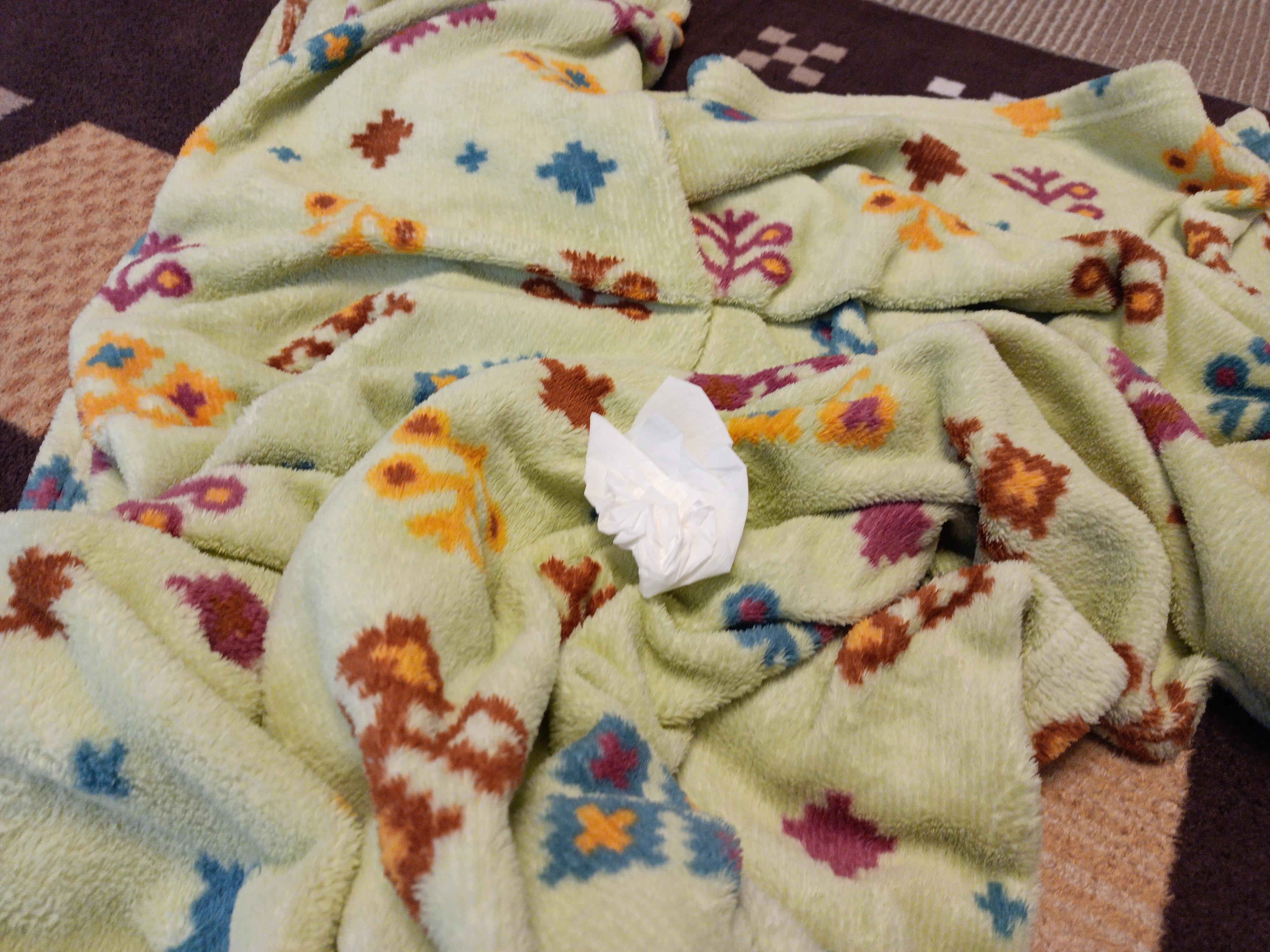 tissue1 Object Detection Dataset by YOLO Training