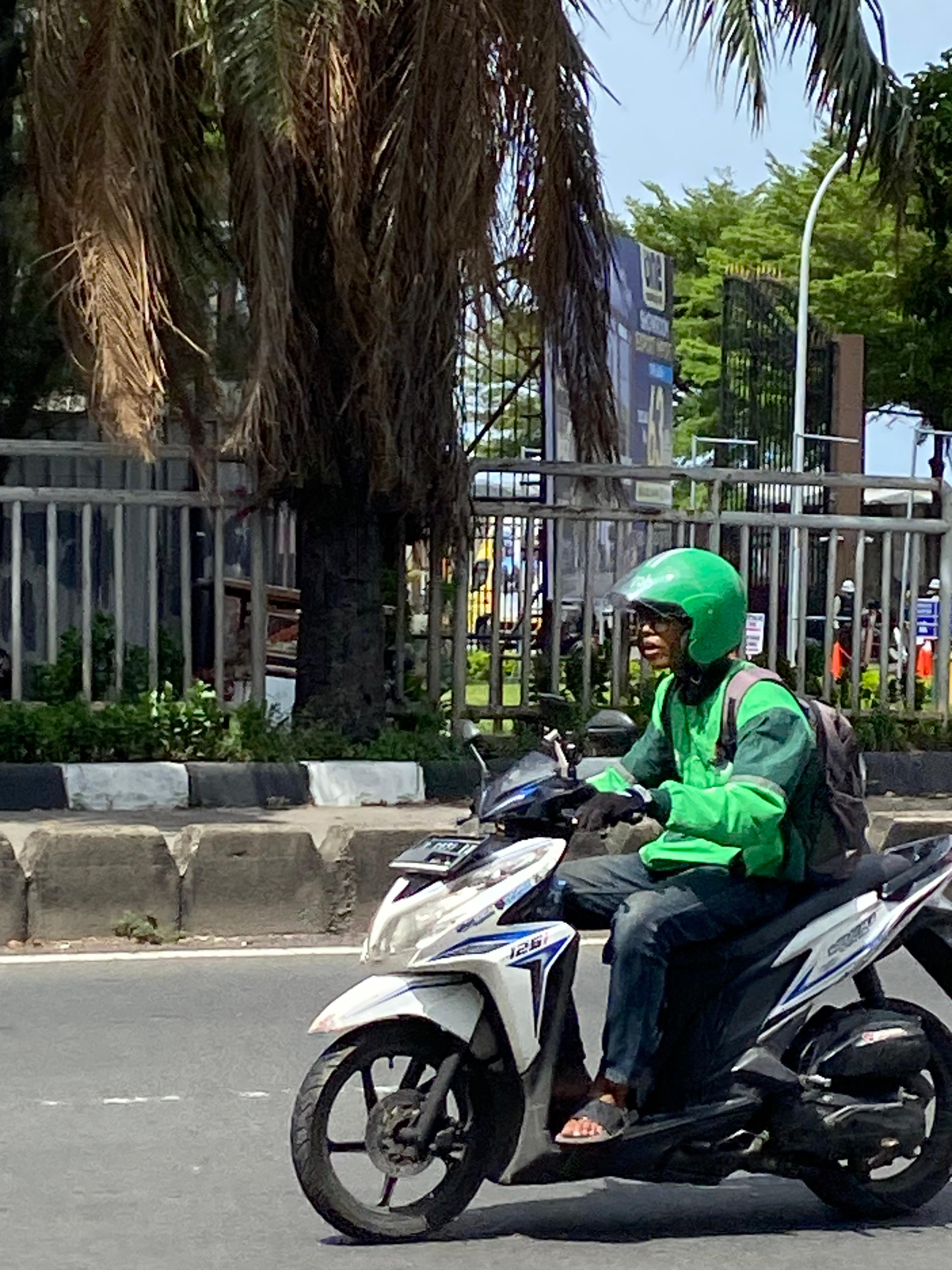 Aji (aji-fp2mr) - Roboflow Universe