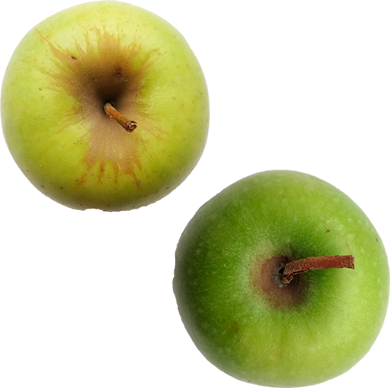 Apples-of-different-varieties Object Detection Dataset by BMSTU