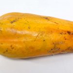 papaya-yolov11 Instance Segmentation Dataset and Pre-Trained Model by TCC