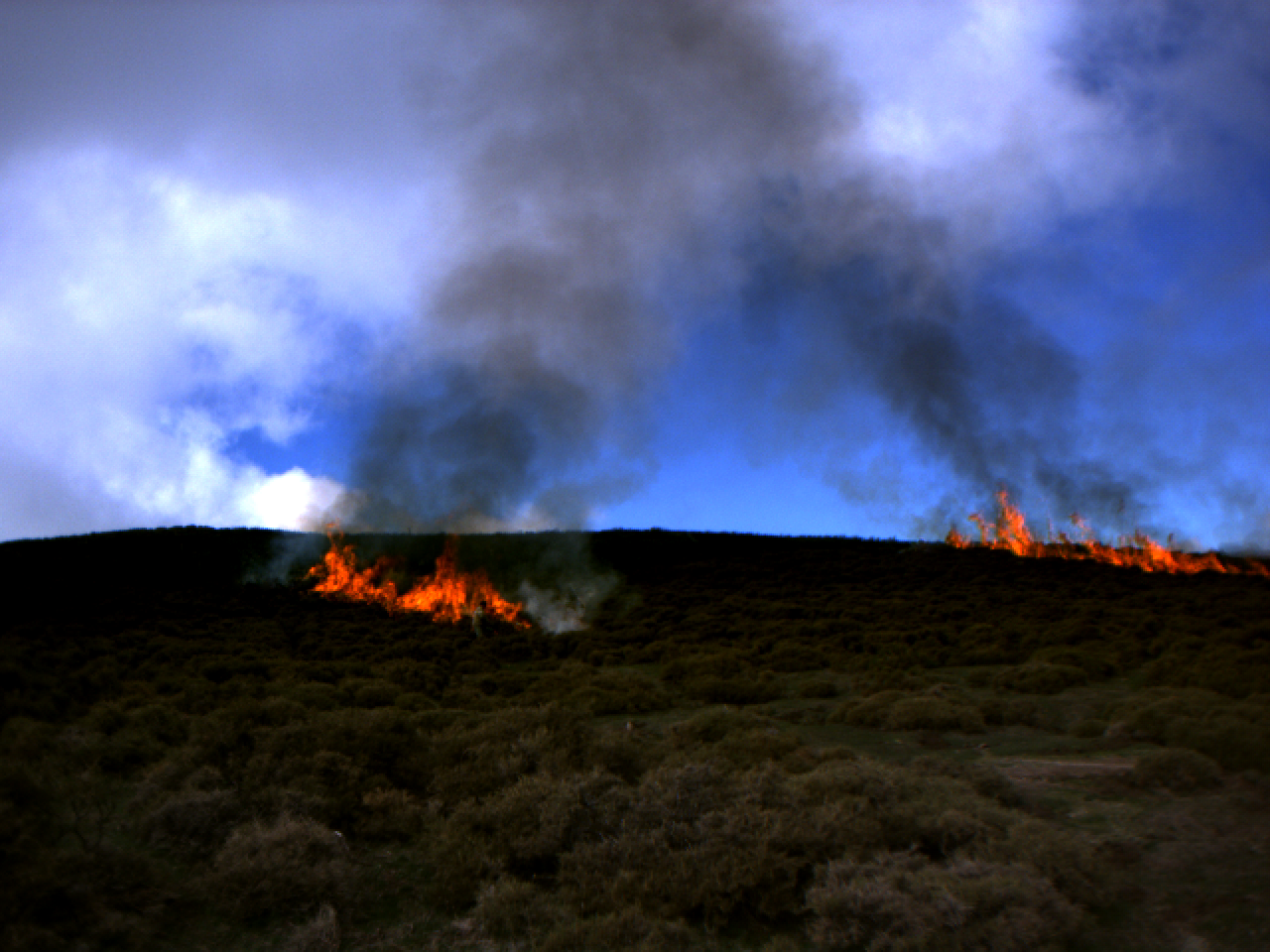 uav (uav-gt5sk) - Roboflow Universe