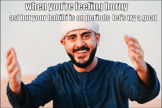 Meme Bias classification Classification Model by Deep Learning