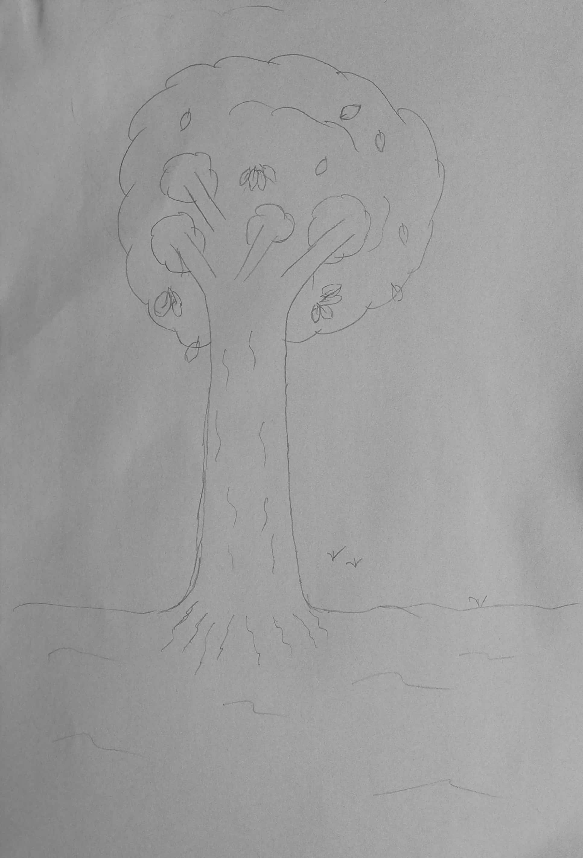 pohon baru 4 Object Detection Dataset and Pre-Trained Model by skripsi