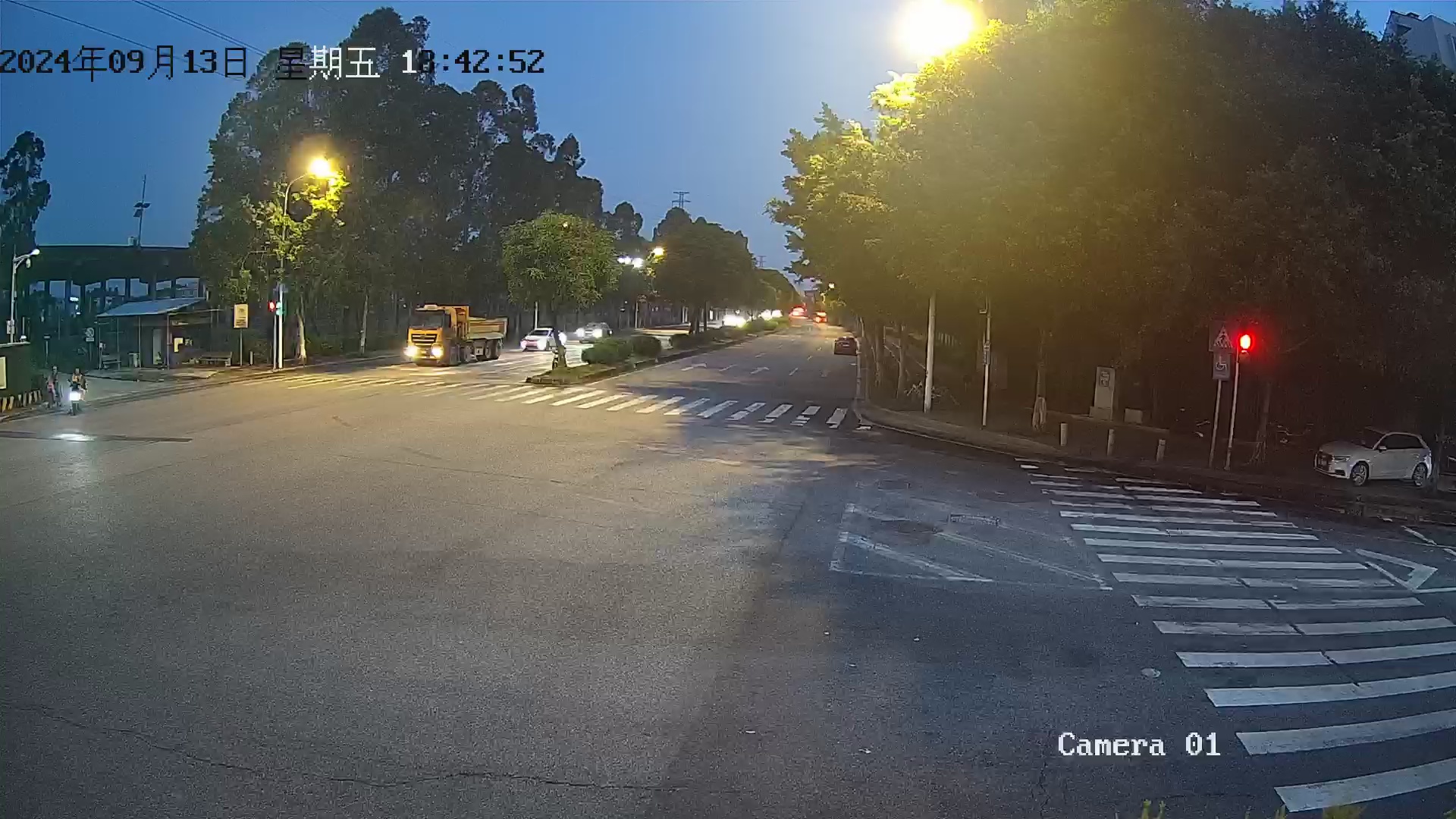 J67243049 Instance Segmentation Dataset by water ponding