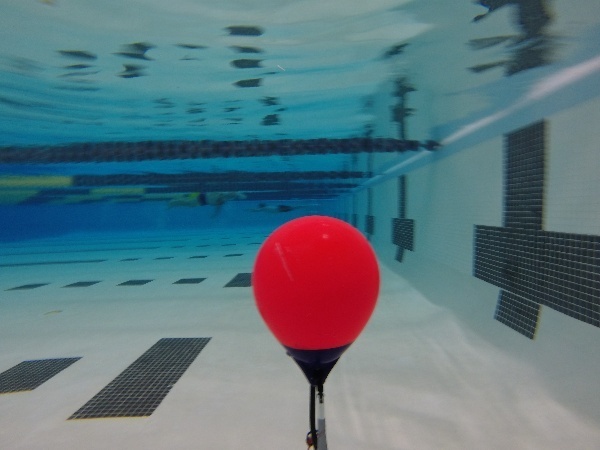 Auv Object Detection Dataset By Auv Team