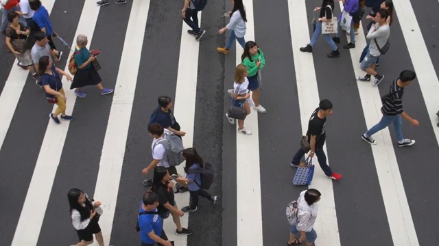 Person Object Detection Model by Transportation