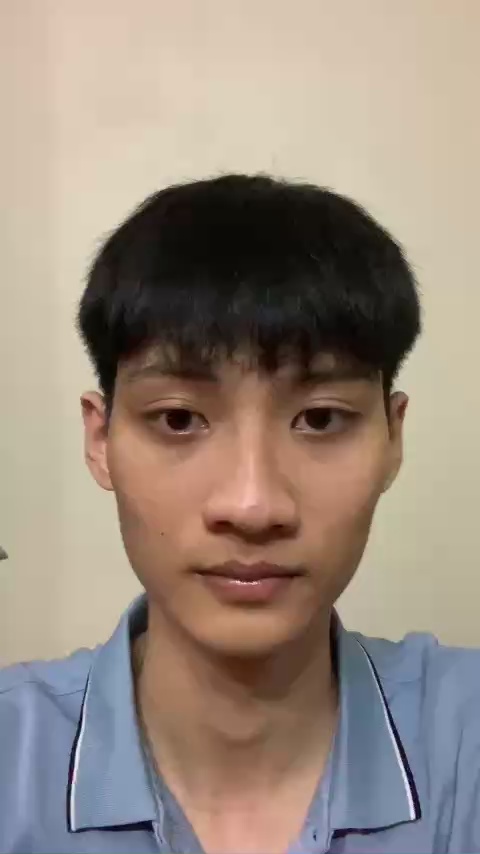 face Object Detection Dataset and Pre-Trained Model by ptit