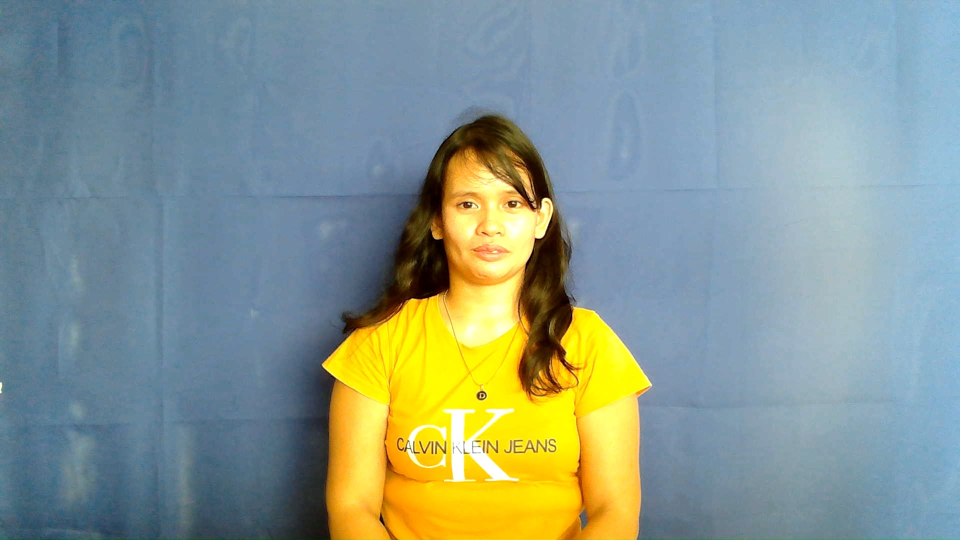 trainfinal2 Object Detection Dataset by LAV FINAL FSL DATASET