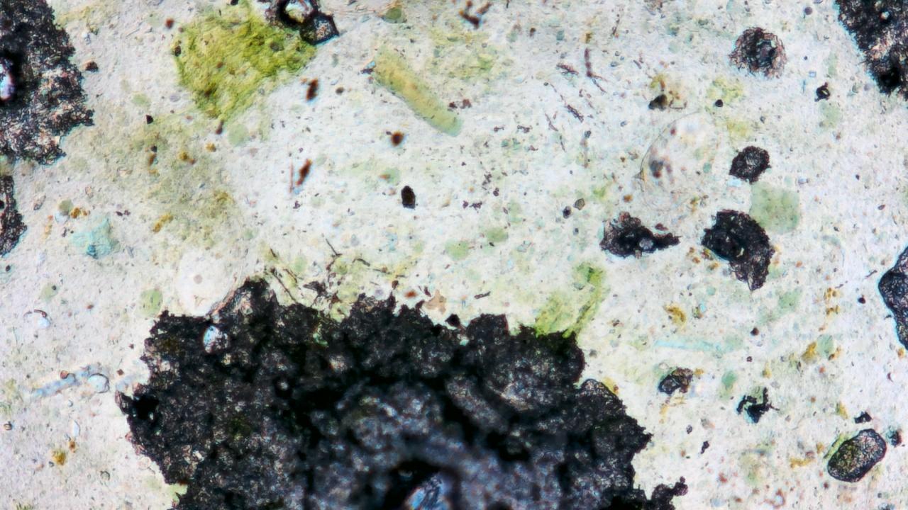 original Object Detection Dataset by solil