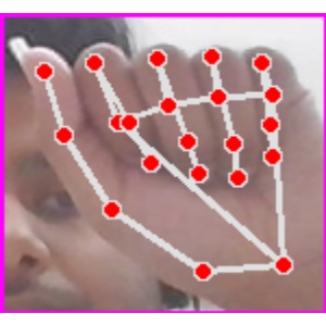 sign language Object Detection Model by sign language