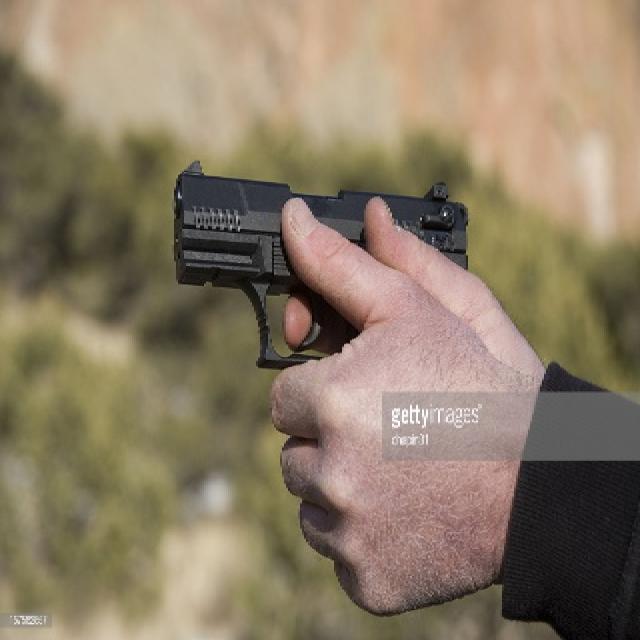 Weapons Identification Object Detection Dataset By Weapons Model