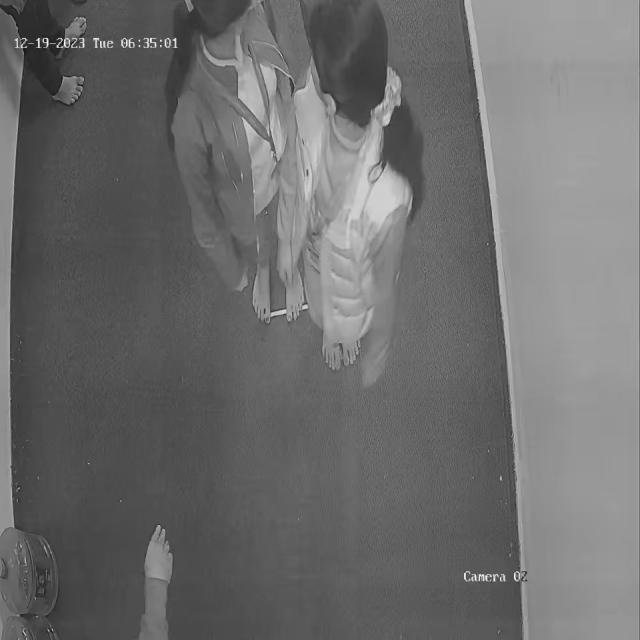 Check Auto Annotation Instance Segmentation Dataset By Project