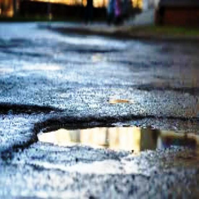 seg Instance Segmentation Dataset by padmaja