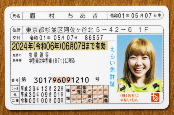 Japanese Driving License Object Detection Dataset by Thang Nguyen