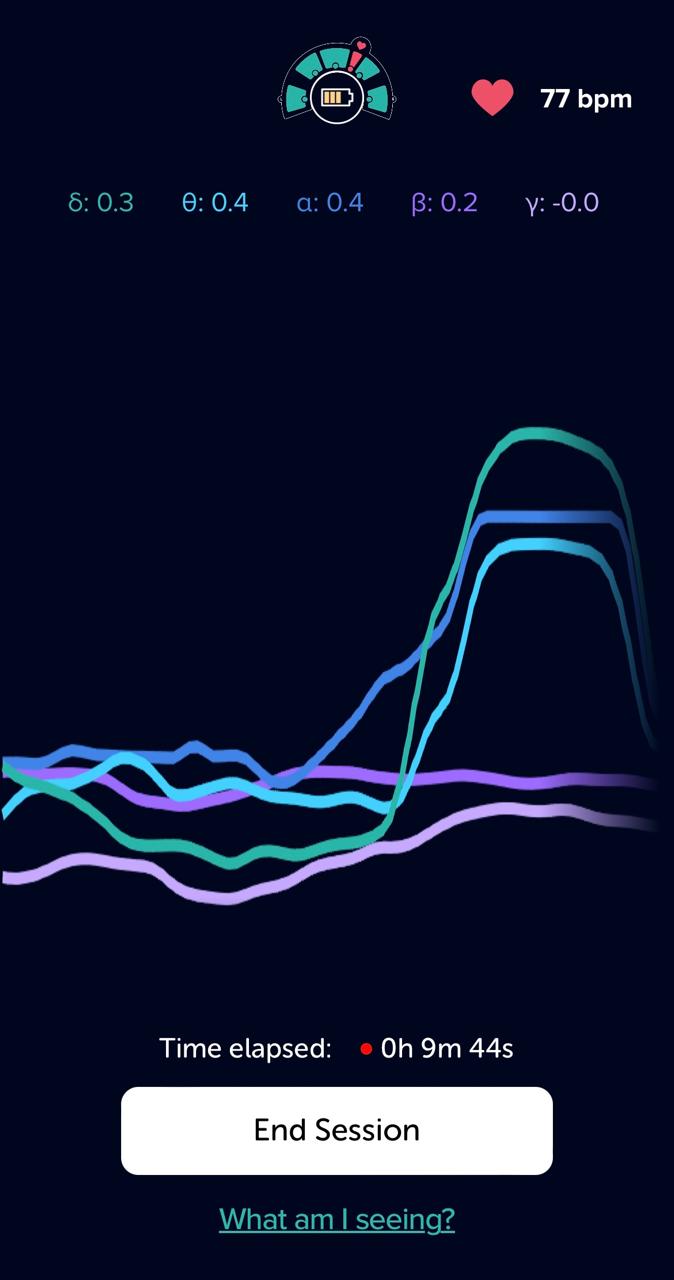 EEG muse with python Object Detection Dataset and Pre-Trained Model by ...