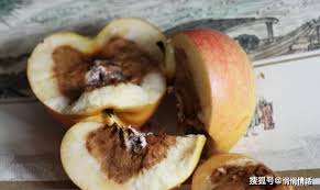 recycle Object Detection Dataset by garbagee2