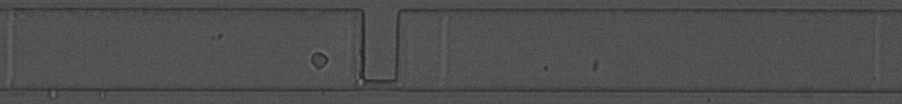 Proper Cell Segmentation Instance Segmentation Dataset By Cv Time 5401