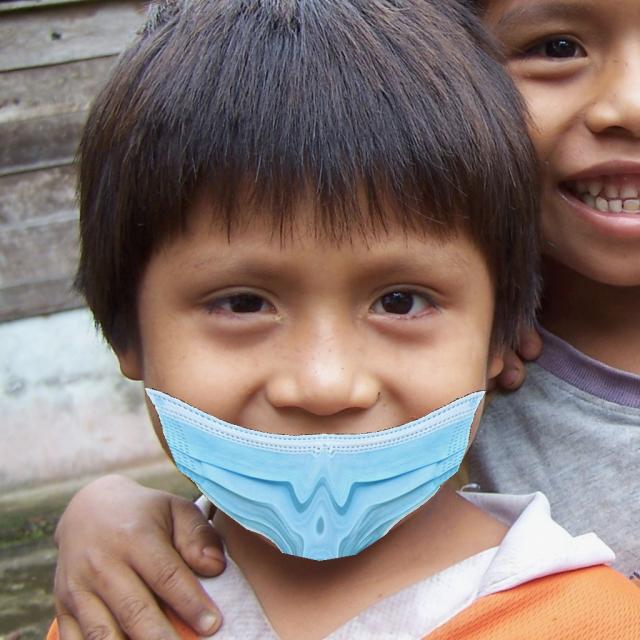 mask Object Detection Model by q