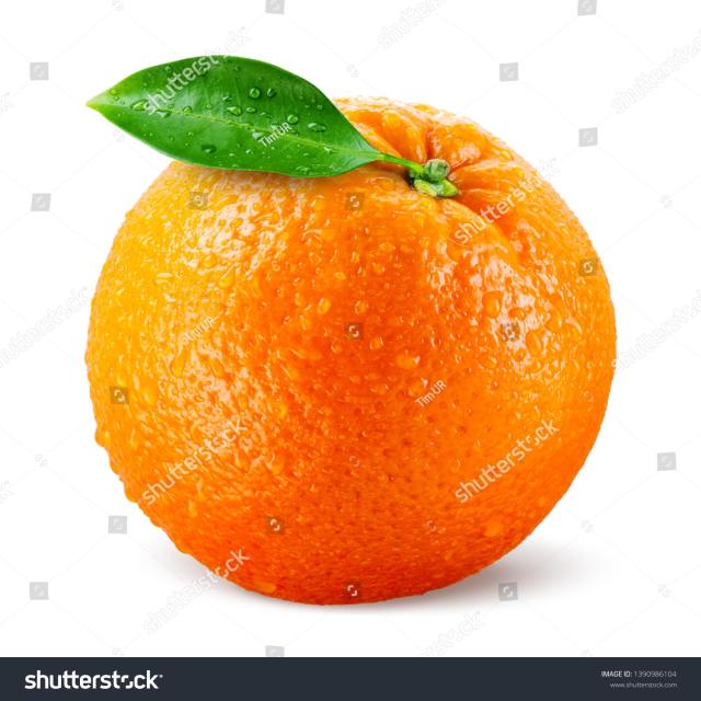 fruit finder Object Detection Model by Jeff