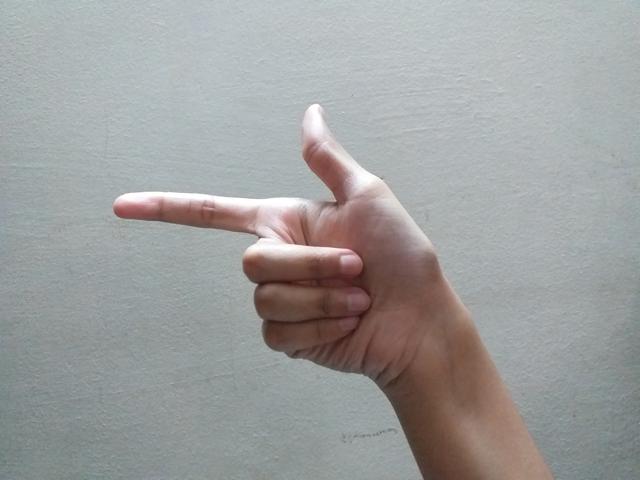 Bangla Sign Language Object Detection Dataset by Saikat