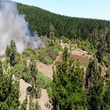 wildfire Object Detection Model by wildfire