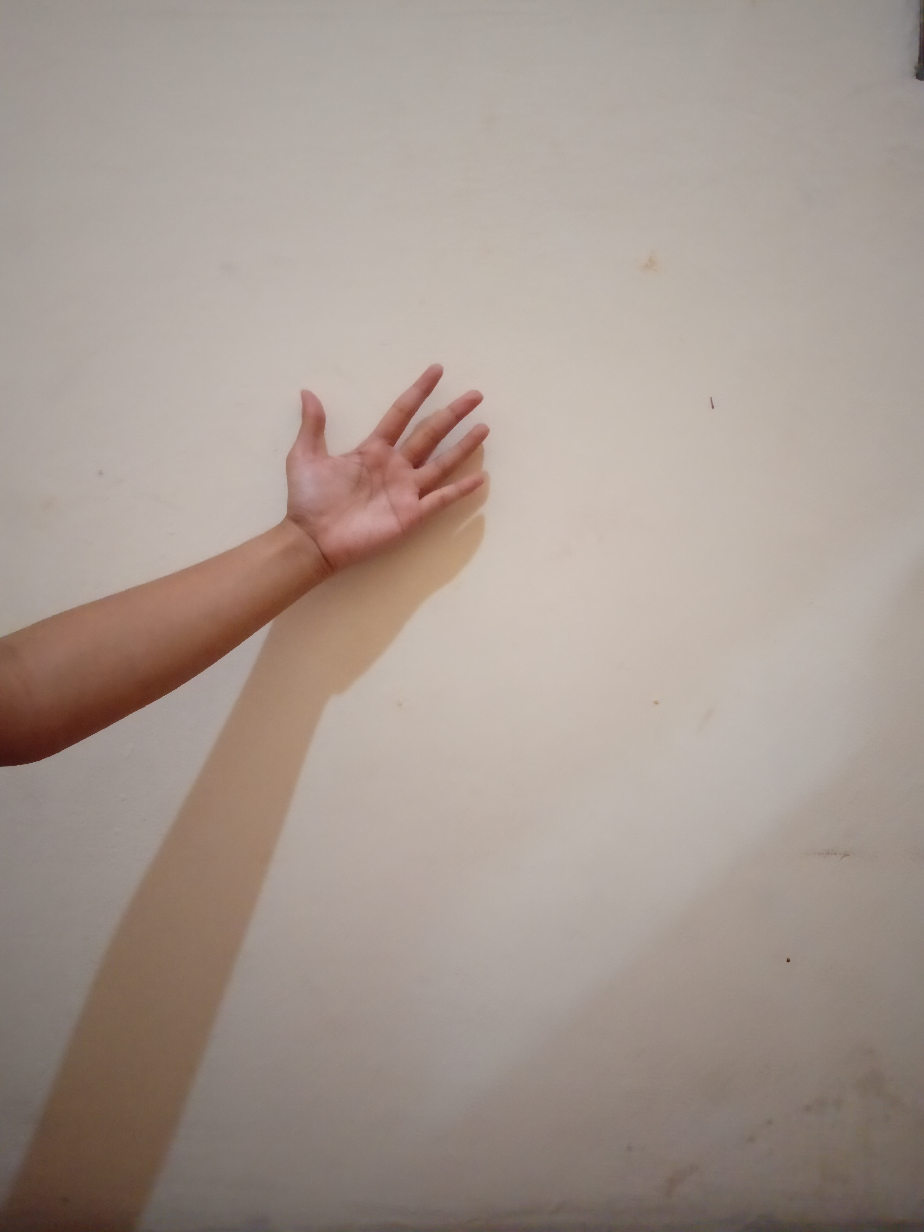 Hand Gesture Detection Object Detection Dataset And Pre Trained Model