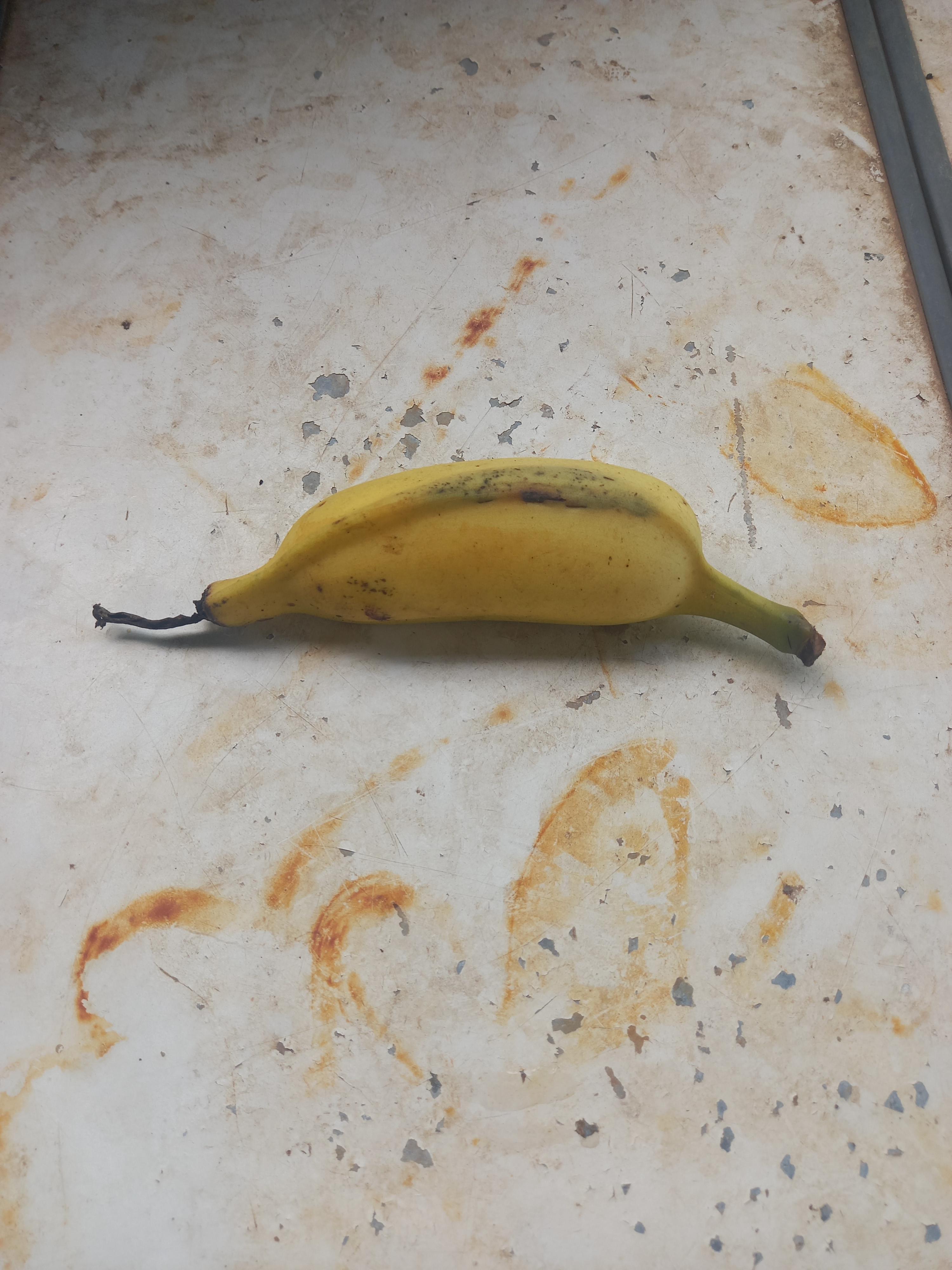Banana Type Object Detection Dataset And Pre Trained Model By Campus