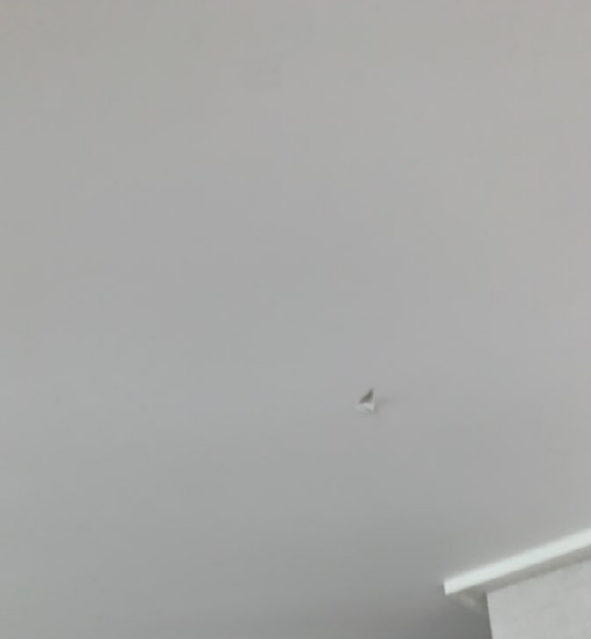 torn Object Detection Model by YOLO